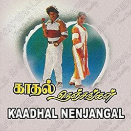 Kaadhal Nenjangal (Tamil) [1996] (Music Master) - [Hi-Res] - [24-Bit 44.0 kHz] - | Samperals.net ...